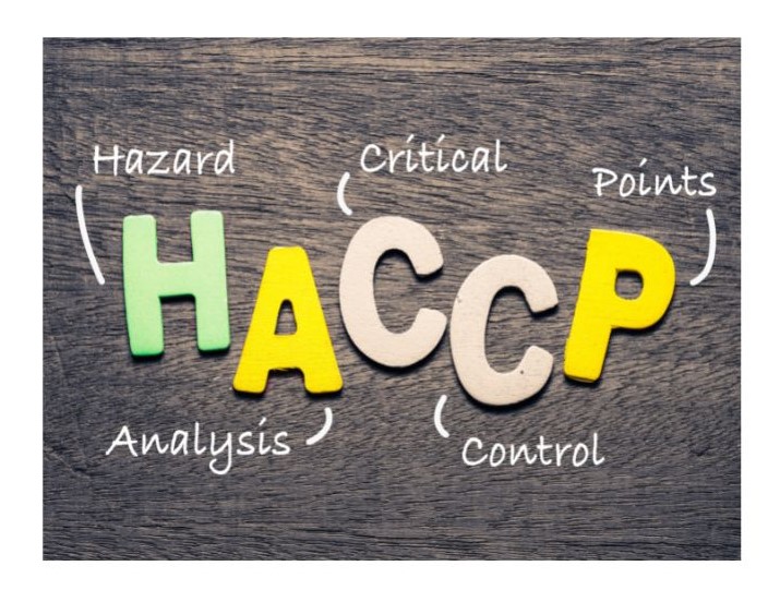 What can a paperless HACCP system do for you?